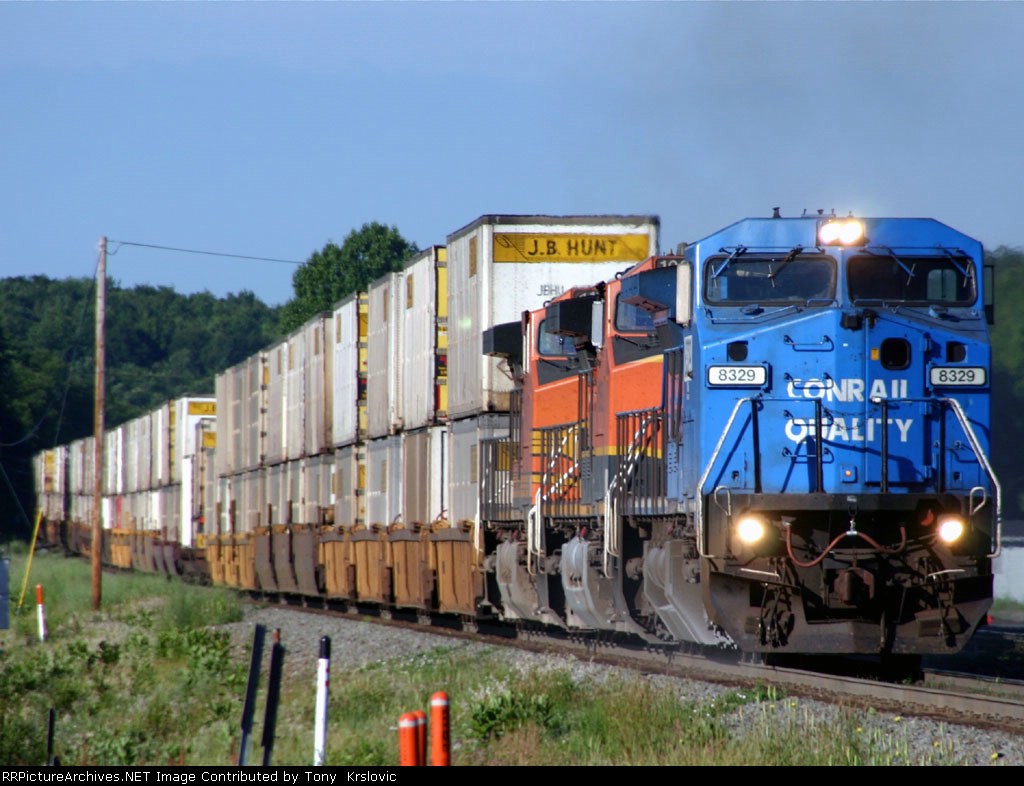 NS 8329 Colorful Lash Up